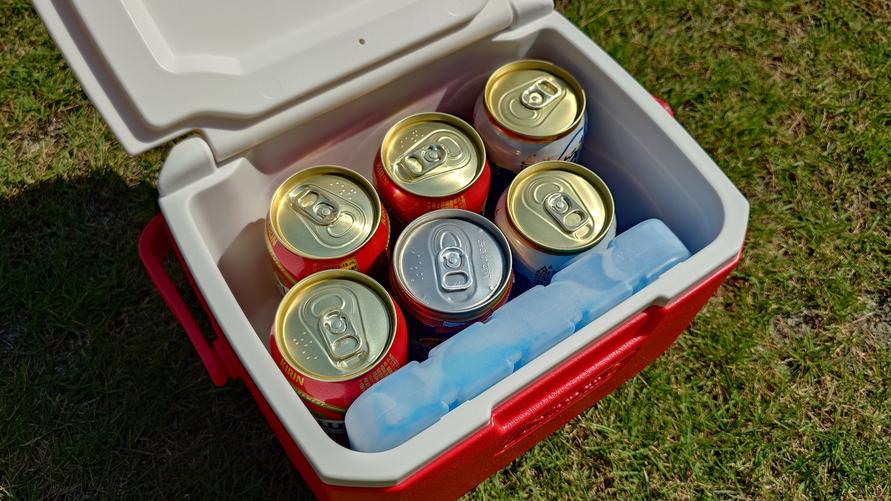 1,000円台でこの保冷力。コールマンの「小型クーラーボックス」が想像以上に使える – Sirabee